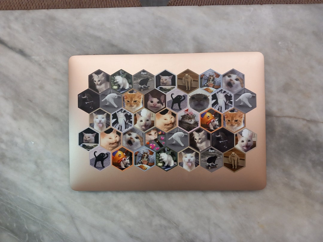 Hexagonal Cat Meme Stickers. Waterproof and Weatherproof. - Etsy