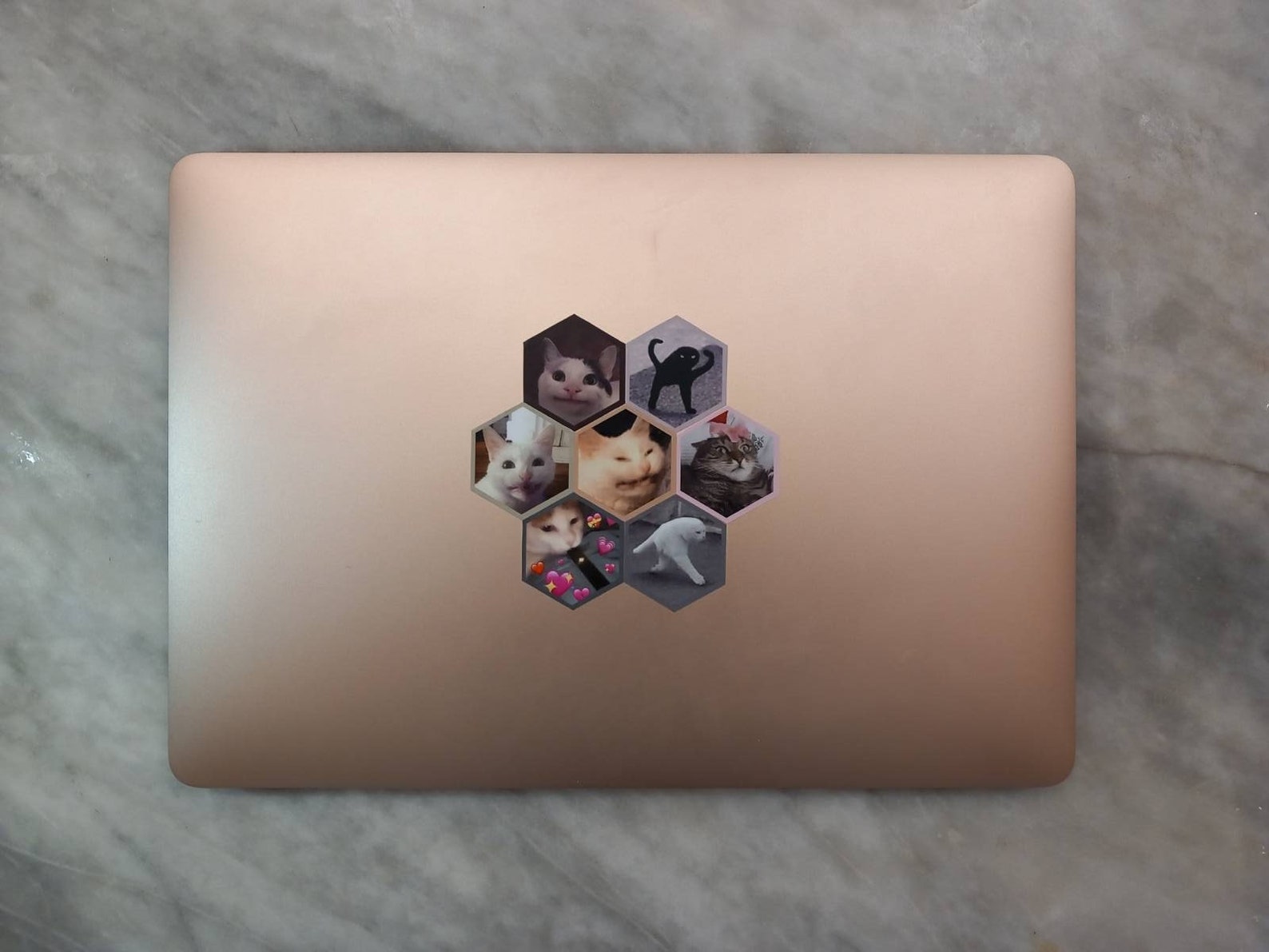 Hexagonal Cat Meme Stickers. Waterproof and Weatherproof. - Etsy