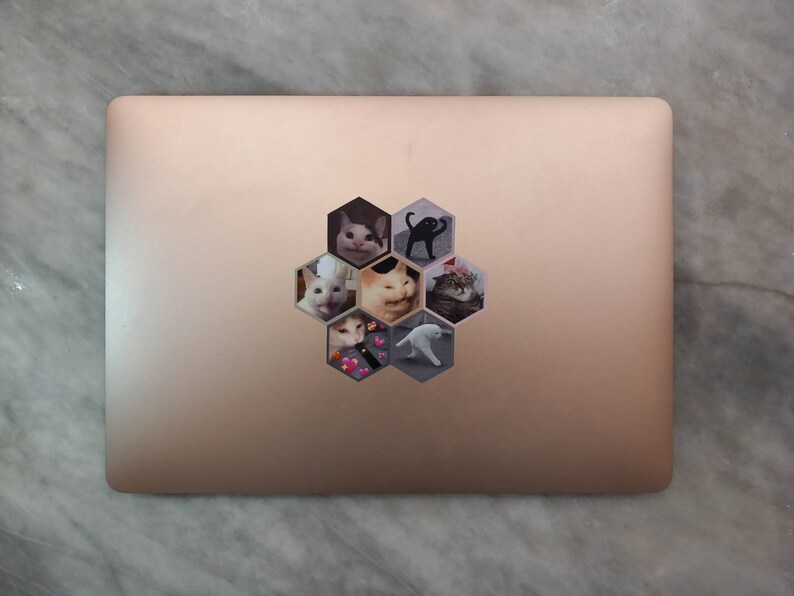 Hexagonal Cat Meme Stickers. Waterproof and Weatherproof. - Etsy