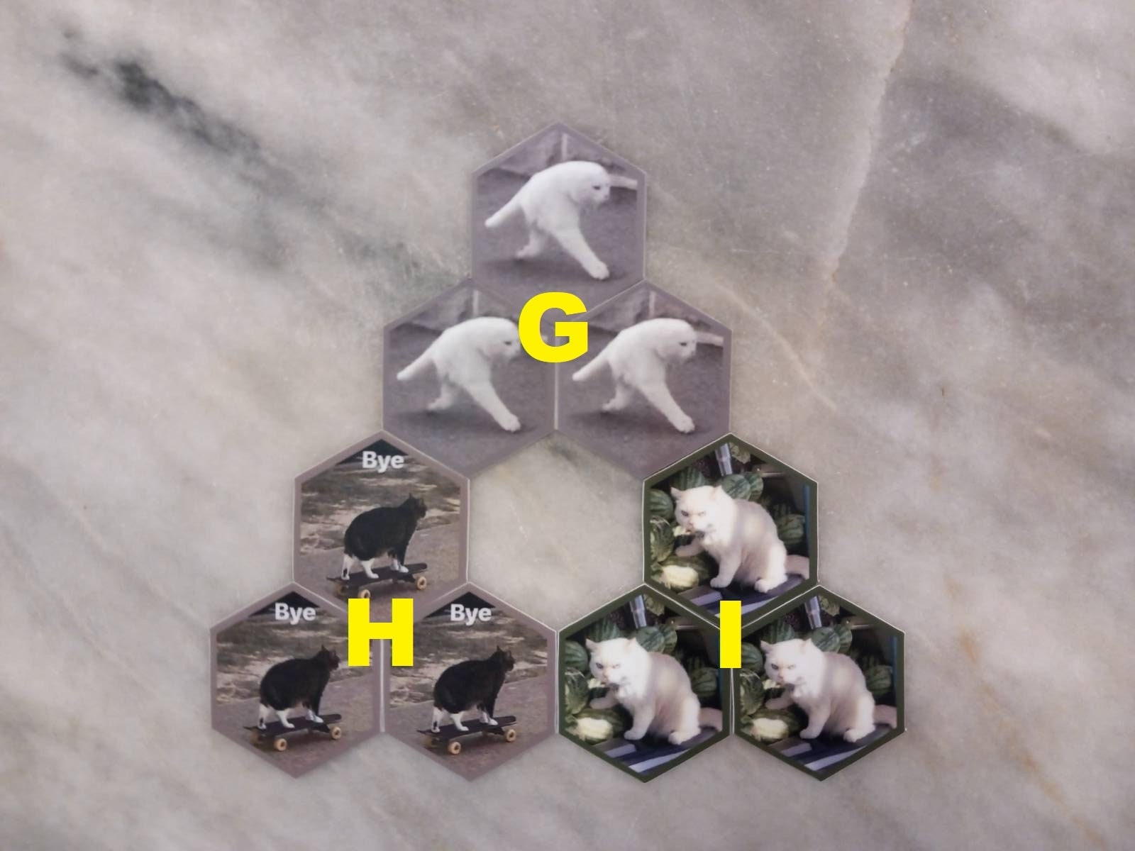 Hexagonal Cat Meme Stickers. Waterproof and Weatherproof. - Etsy Canada