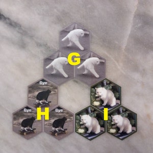 Hexagonal Cat Meme Stickers. Waterproof and Weatherproof. - Etsy
