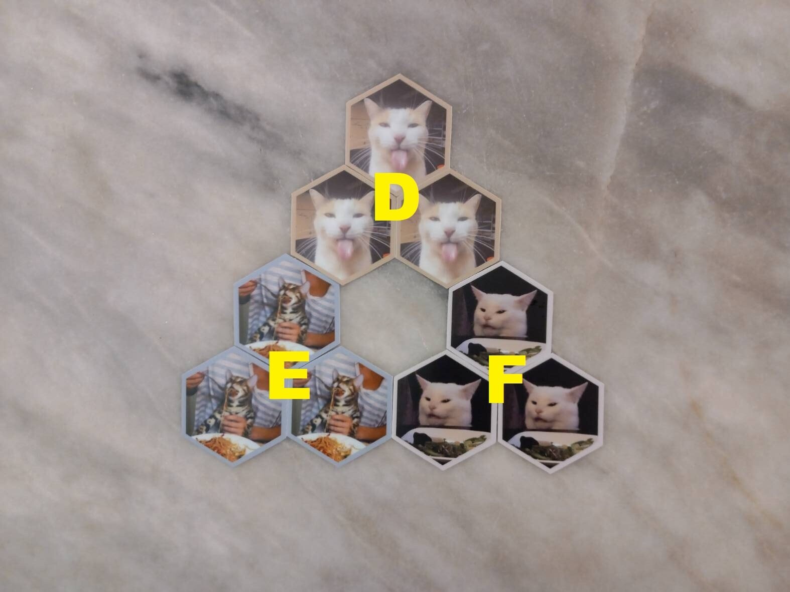 Hexagonal Cat Meme Stickers. Waterproof and Weatherproof. - Etsy UK