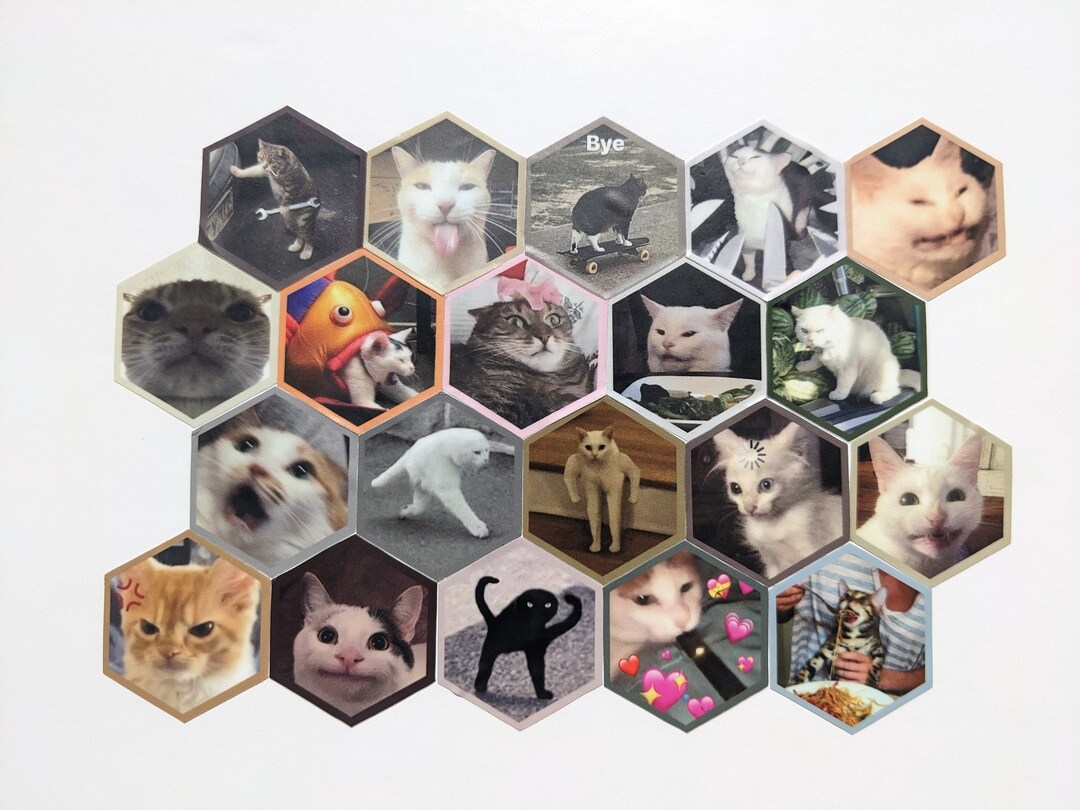 Hexagonal Cat Meme Stickers. Waterproof and Weatherproof. - Etsy