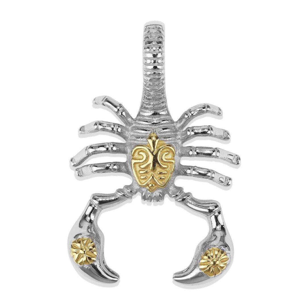 Stainless Steel Large Scorpion Charms - Etsy
