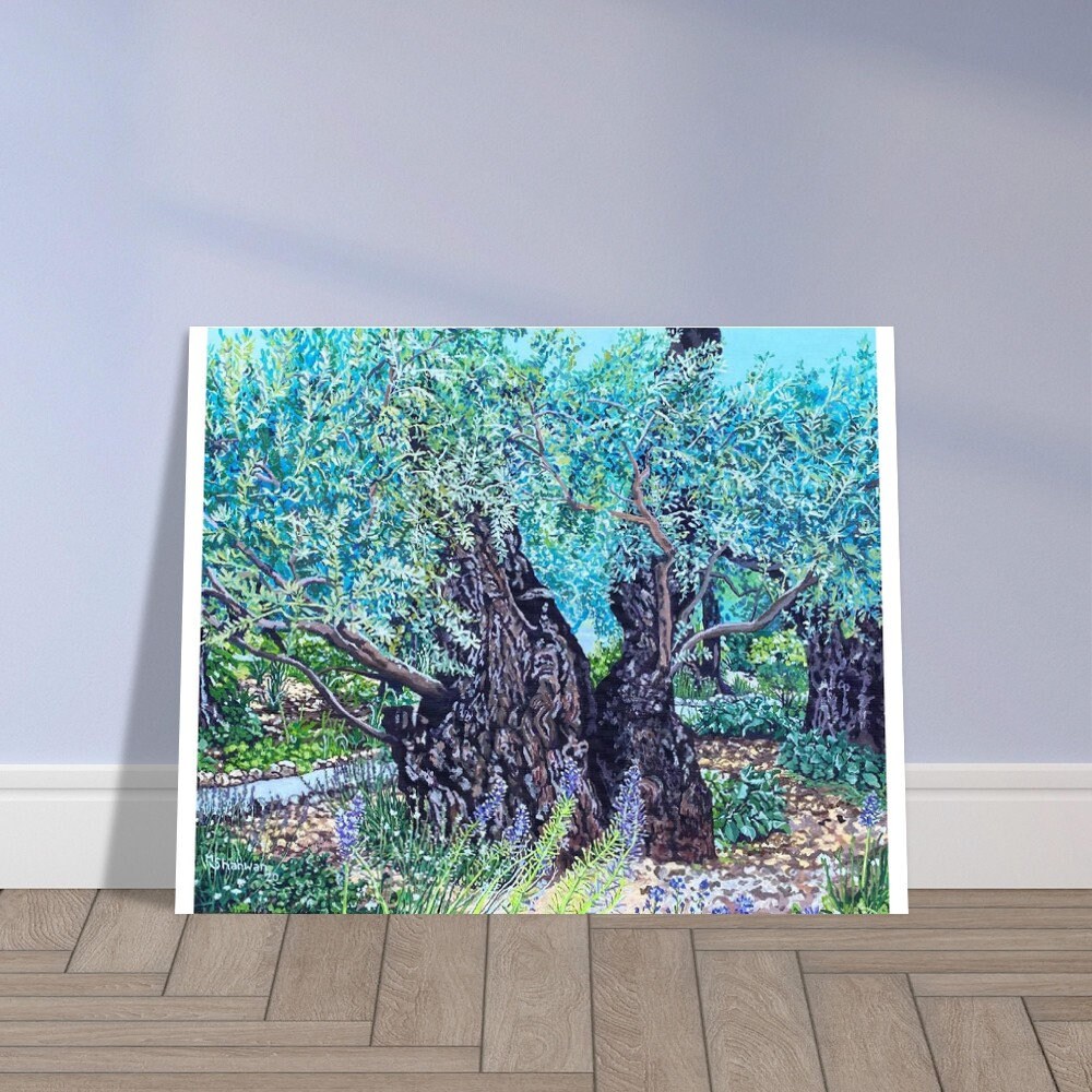 Olive Tree in the Garden of Gethsemane in Jerusalem - Etsy