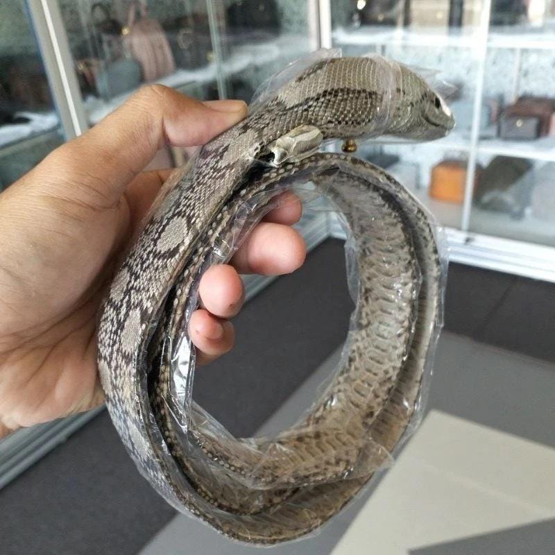 Real Snake Skin - Etsy