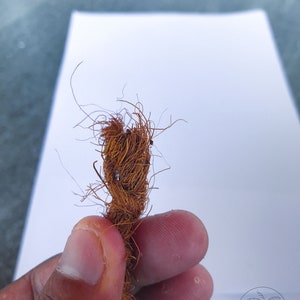 Coconut Fiber Rope Handmade Coco Rope Natural for Decoration Weddings ...