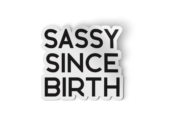 Water Bottle Stickers Sarcastic Sticker Laptop Decals Sassy Since Birth ...