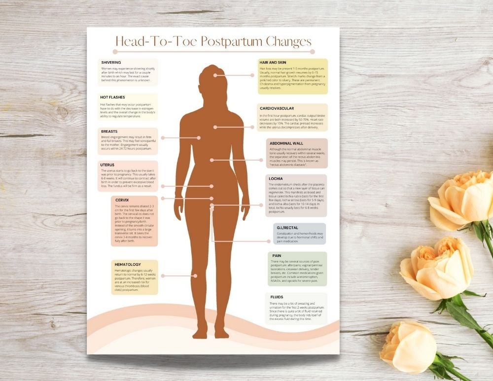Postpartum Body Changes Handout PDF Printable | Doula, Midwife, New Mom ...