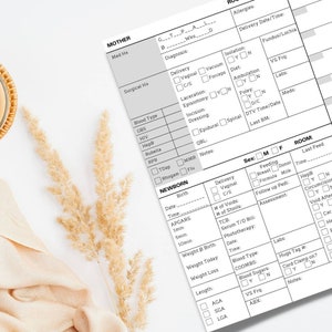 Mother Baby Nurse Report Sheet for 1 Couplet Printable PDF | Postpartum ...