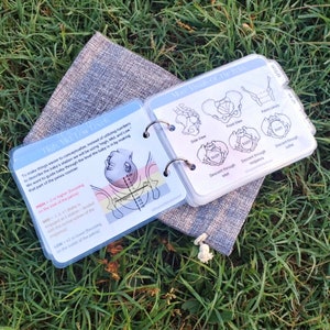 The Labor Positions Pocket Flipbook | Childbirth Education, Doula ...