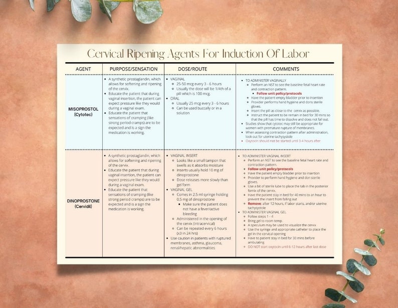 Labor Induction Agents Chart and Bishop Score PDF Printable | for Labor ...