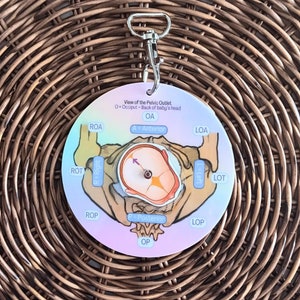 Fetal Position Wheel Badge Buddy & Pin for Vertex Babies | RN, Labor ...