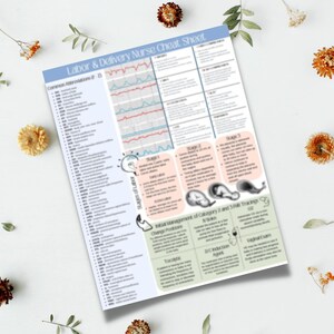 Labor and Delivery Nurse Cheat Sheet PRINTABLE PDF | New Graduate Nurse ...