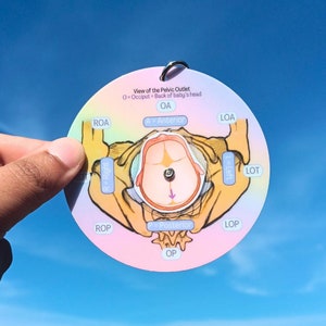 Fetal Position Wheel Badge Buddy & Pin for Vertex Babies | RN, Labor ...