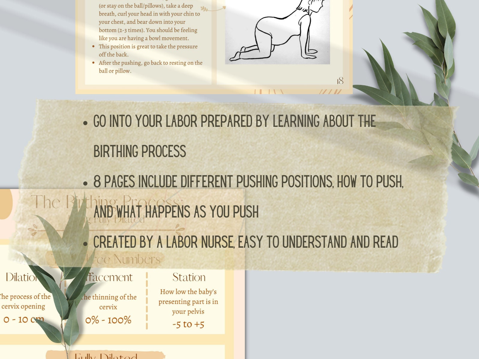 The Birthing Process Printable PDF | Childbirth Education | Labor and ...