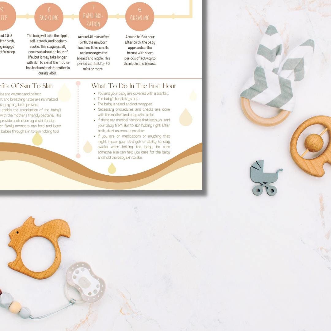 The Golden Hour Handout Printable PDF | Lactation, Doula, Postpartum ...