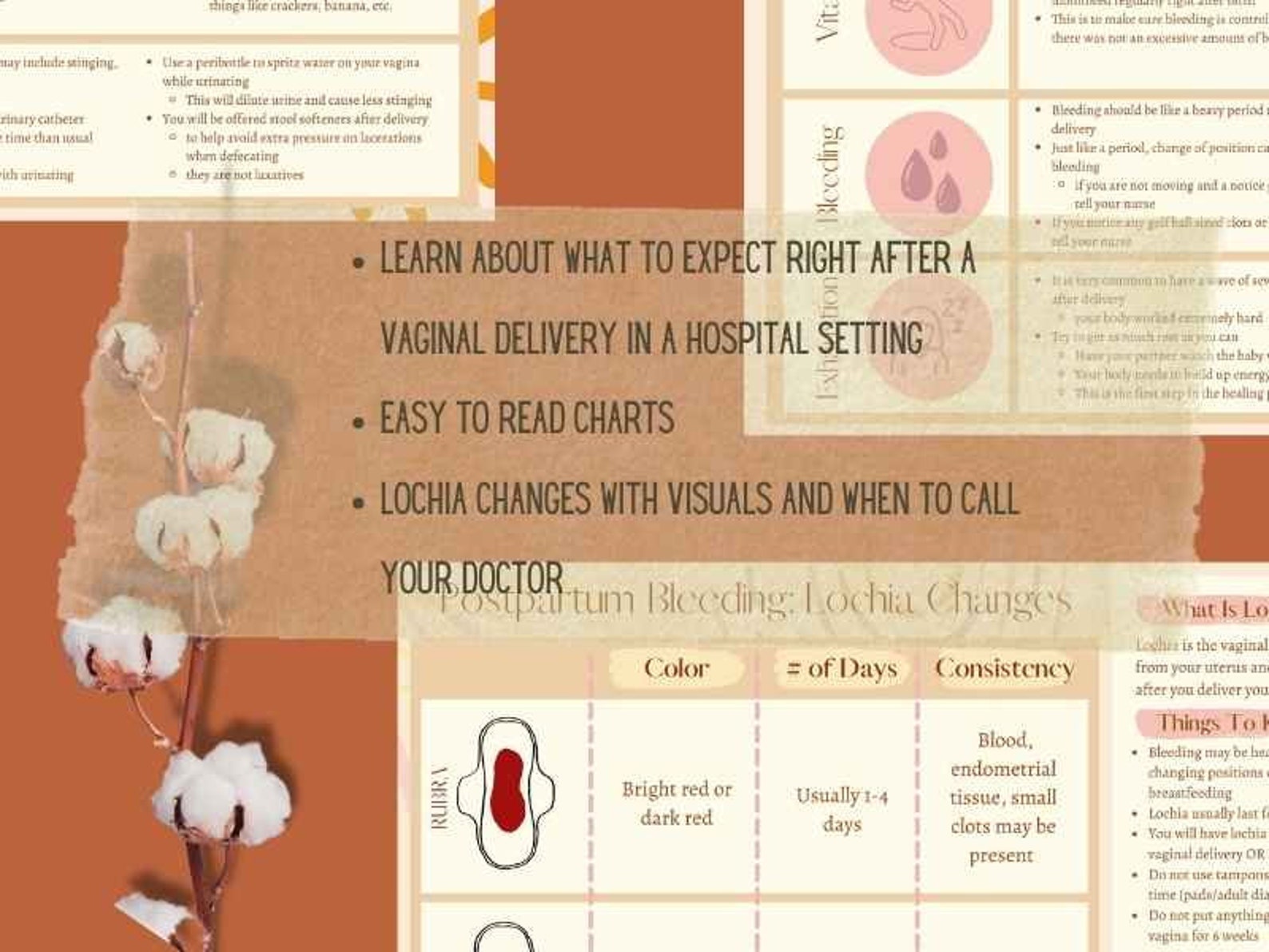 Postpartum Vaginal Birth Expectations Printable Chart PDF| Lochia ...