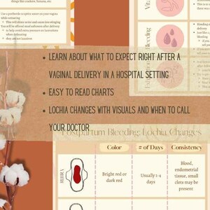 Postpartum Vaginal Birth Expectations Printable Chart PDF| Lochia ...