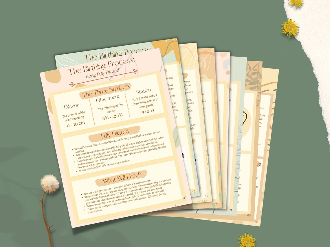 The Birthing Process Printable PDF | Childbirth Education | Labor and ...