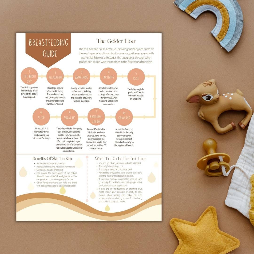 The Golden Hour Handout Printable PDF | Lactation, Doula, Postpartum ...