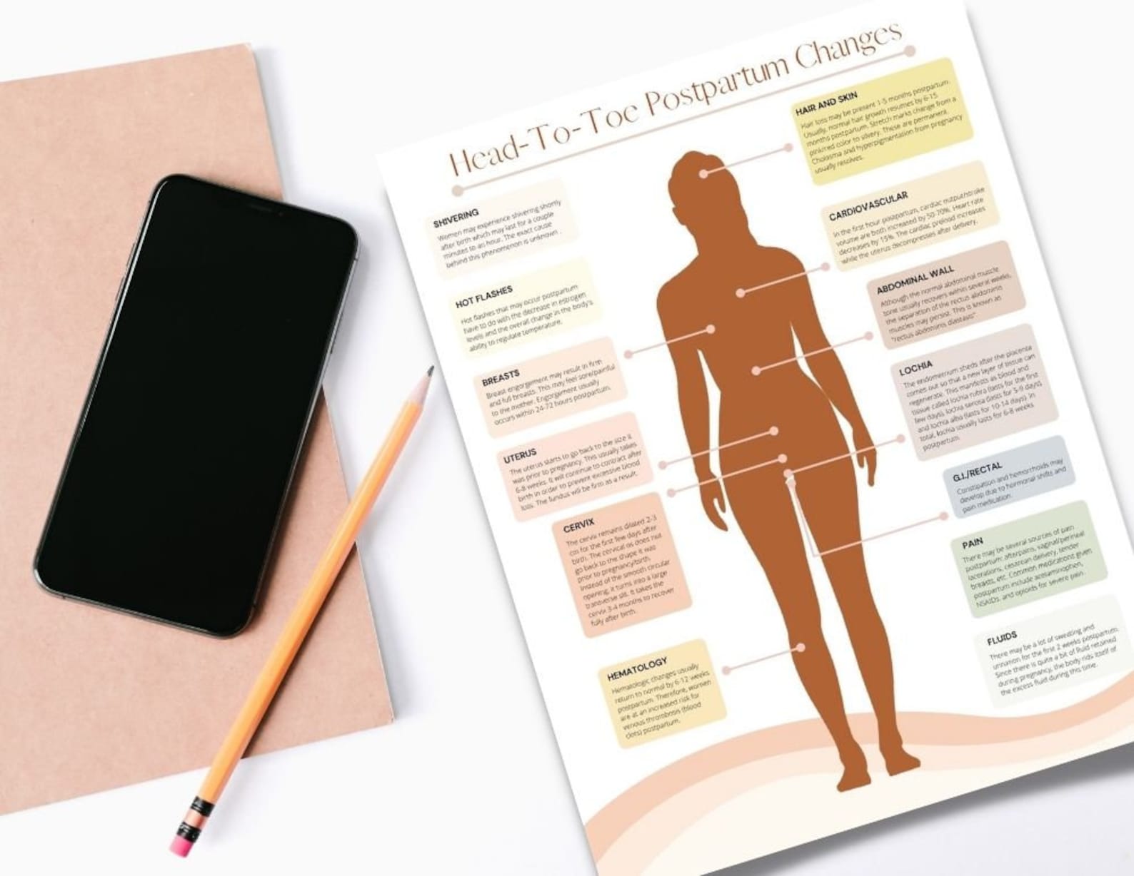 Postpartum Body Changes Handout PDF Printable | Doula, Midwife, New Mom ...
