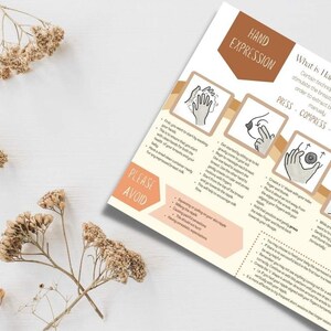 Hand Expression Handout Printable PDF | Breastfeeding, Colostrum, Doula ...