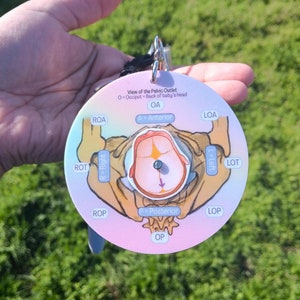 Fetal Position Wheel Badge Buddy & Pin for Vertex Babies | RN, Labor ...