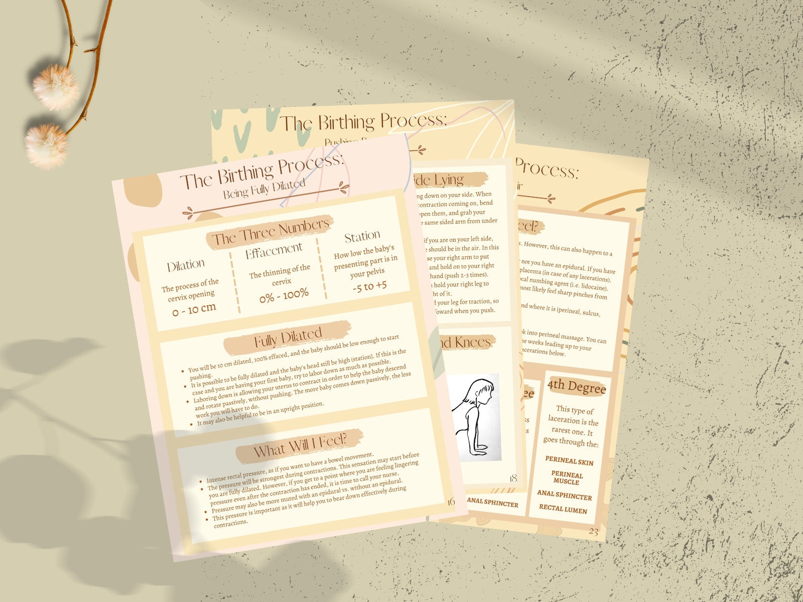 The Birthing Process Printable PDF | Childbirth Education | Labor and ...