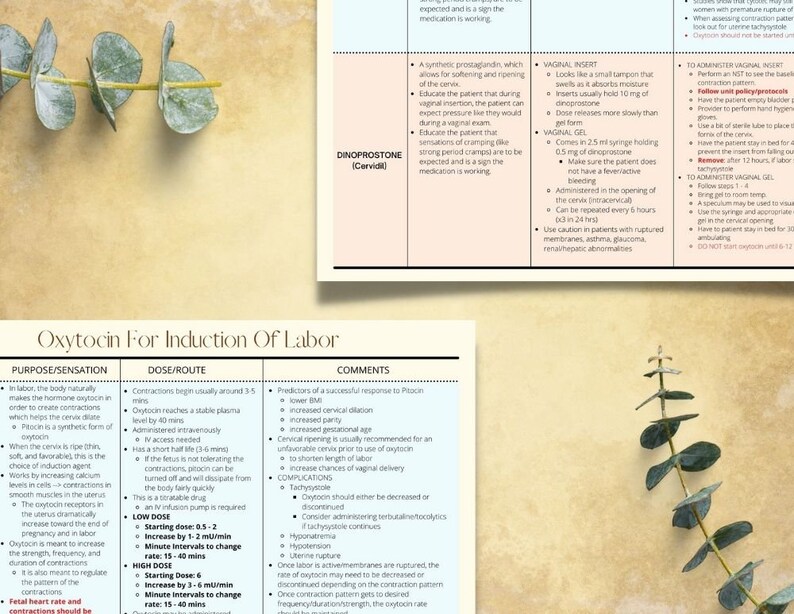 Labor Induction Agents Chart and Bishop Score PDF Printable | for Labor ...