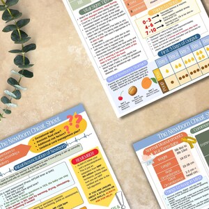 Newborn Cheat Sheet for Nurses PRINTABLE PDF | Labor and Delivery, L&D ...