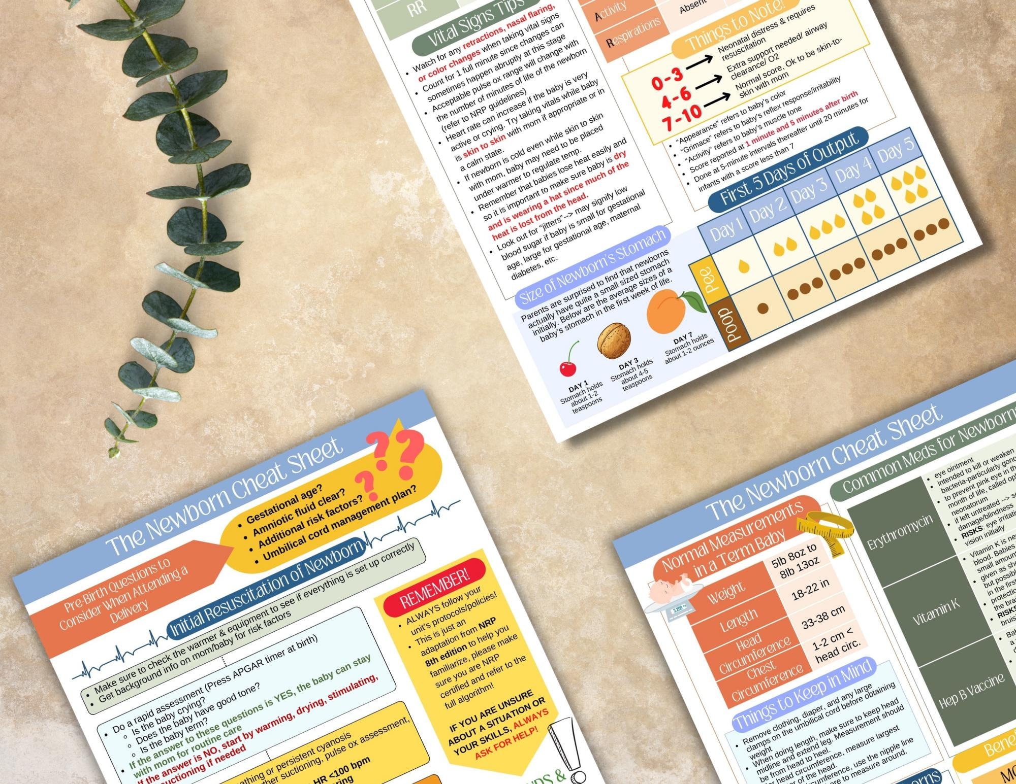 Newborn Cheat Sheet for Nurses PRINTABLE PDF | Labor and Delivery, L&D ...