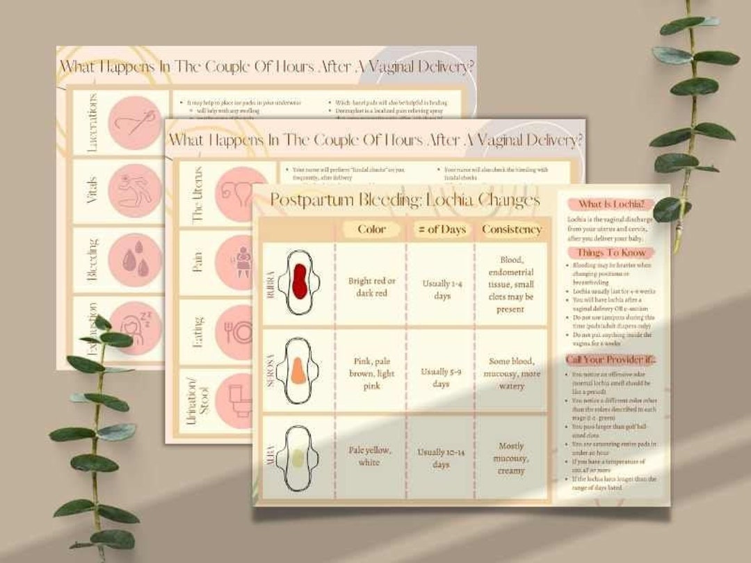 Postpartum Vaginal Birth Expectations Printable Chart PDF| Lochia ...