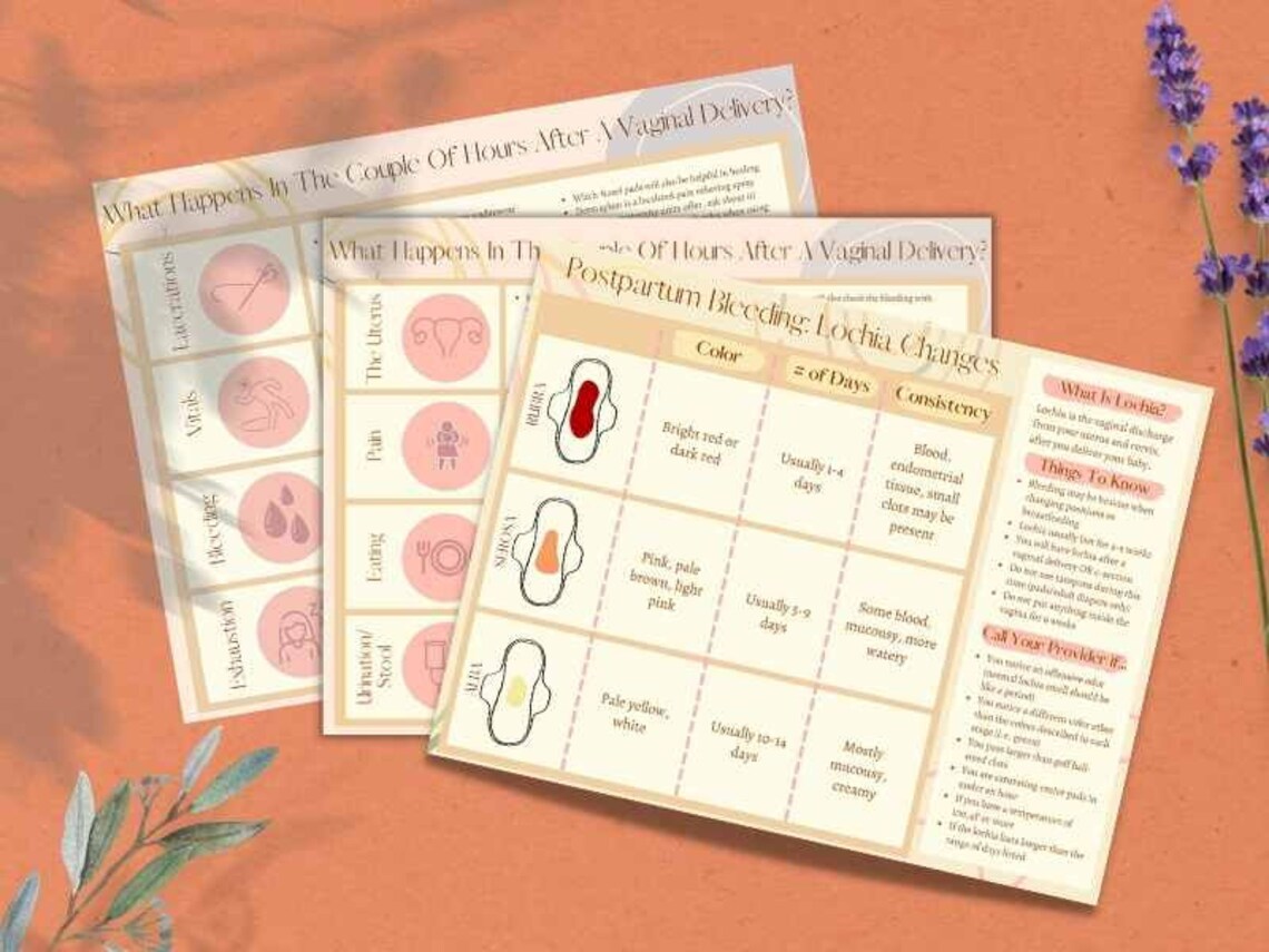 Postpartum Vaginal Birth Expectations Printable Chart PDF| Lochia ...