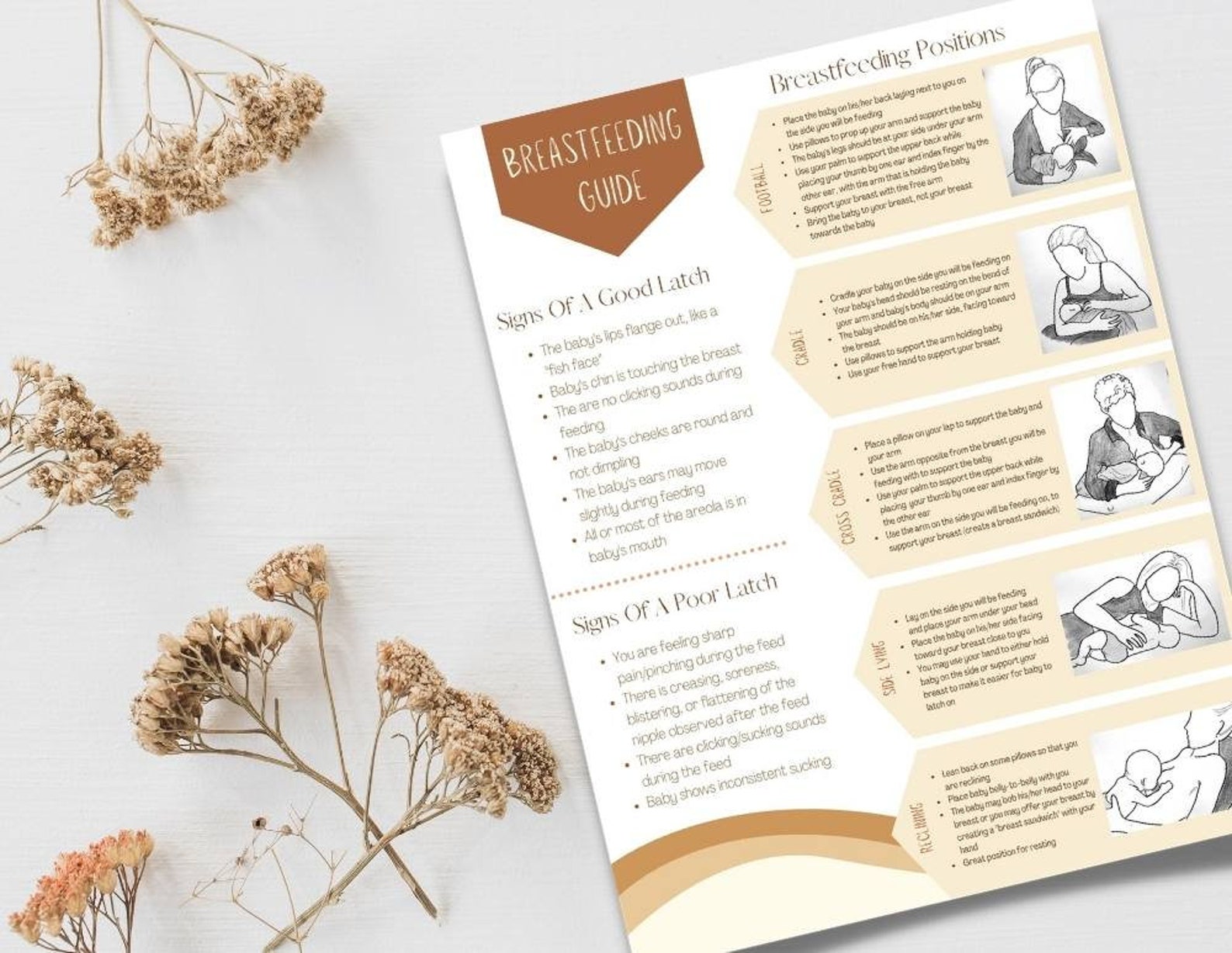 Breastfeeding Education Bundle Printable Handout PDF | Lactation ...