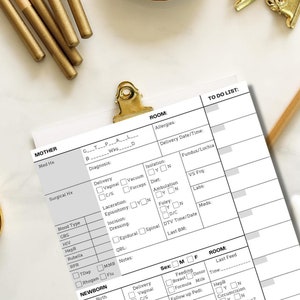 Mother Baby Nurse Report Sheet for 1 Couplet Printable PDF | Postpartum ...
