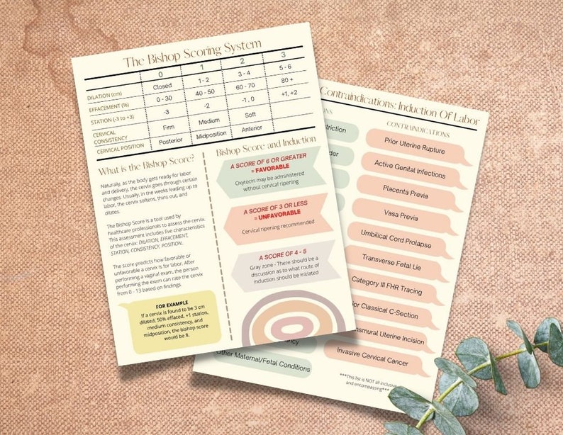 Labor Induction Agents Chart and Bishop Score PDF Printable | for Labor ...