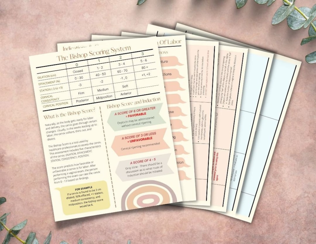 Labor Induction Agents Chart and Bishop Score PDF Printable | for Labor ...