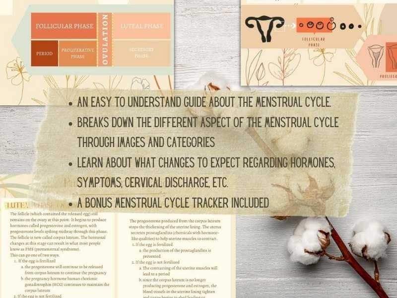 Understanding Your Menstrual Cycle Printable PDF Period Tracker ...