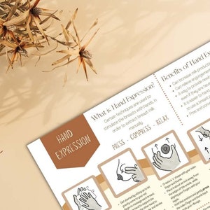 Hand Expression Handout Printable PDF | Breastfeeding, Colostrum, Doula ...