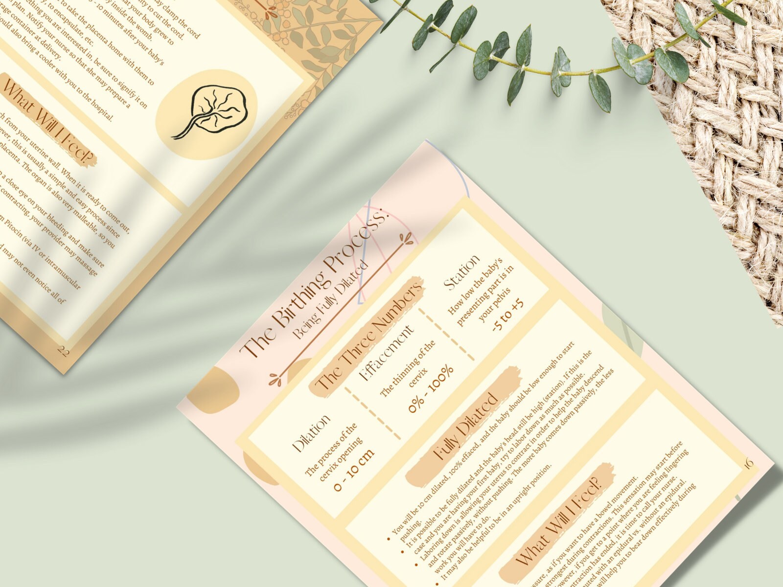 The Birthing Process Printable PDF | Childbirth Education | Labor and ...