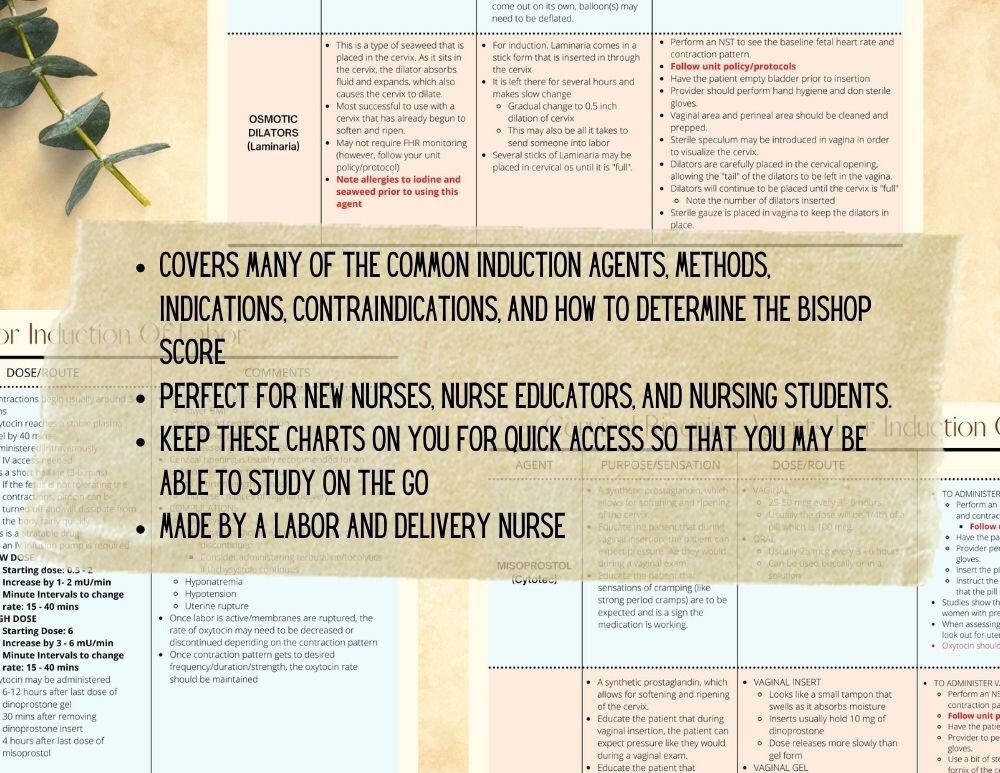 Labor Induction Agents Chart and Bishop Score PDF Printable | for Labor ...