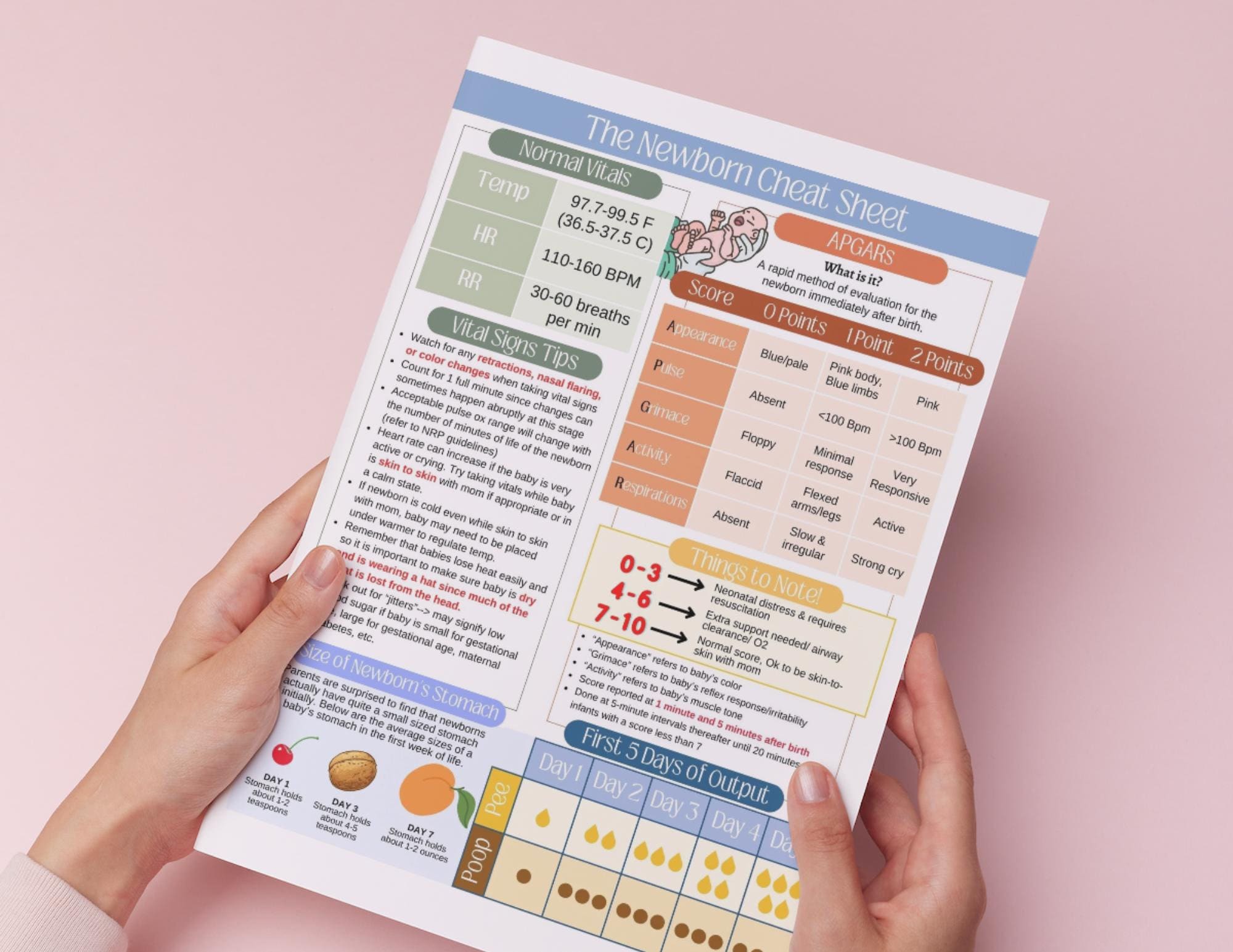 Newborn Cheat Sheet for Nurses PRINTABLE PDF | Labor and Delivery, L&D ...