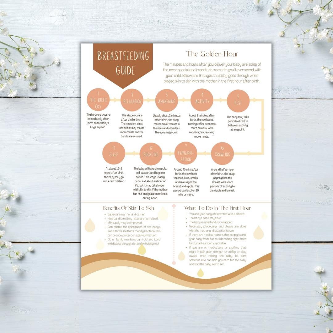 The Golden Hour Handout Printable PDF | Lactation, Doula, Postpartum ...