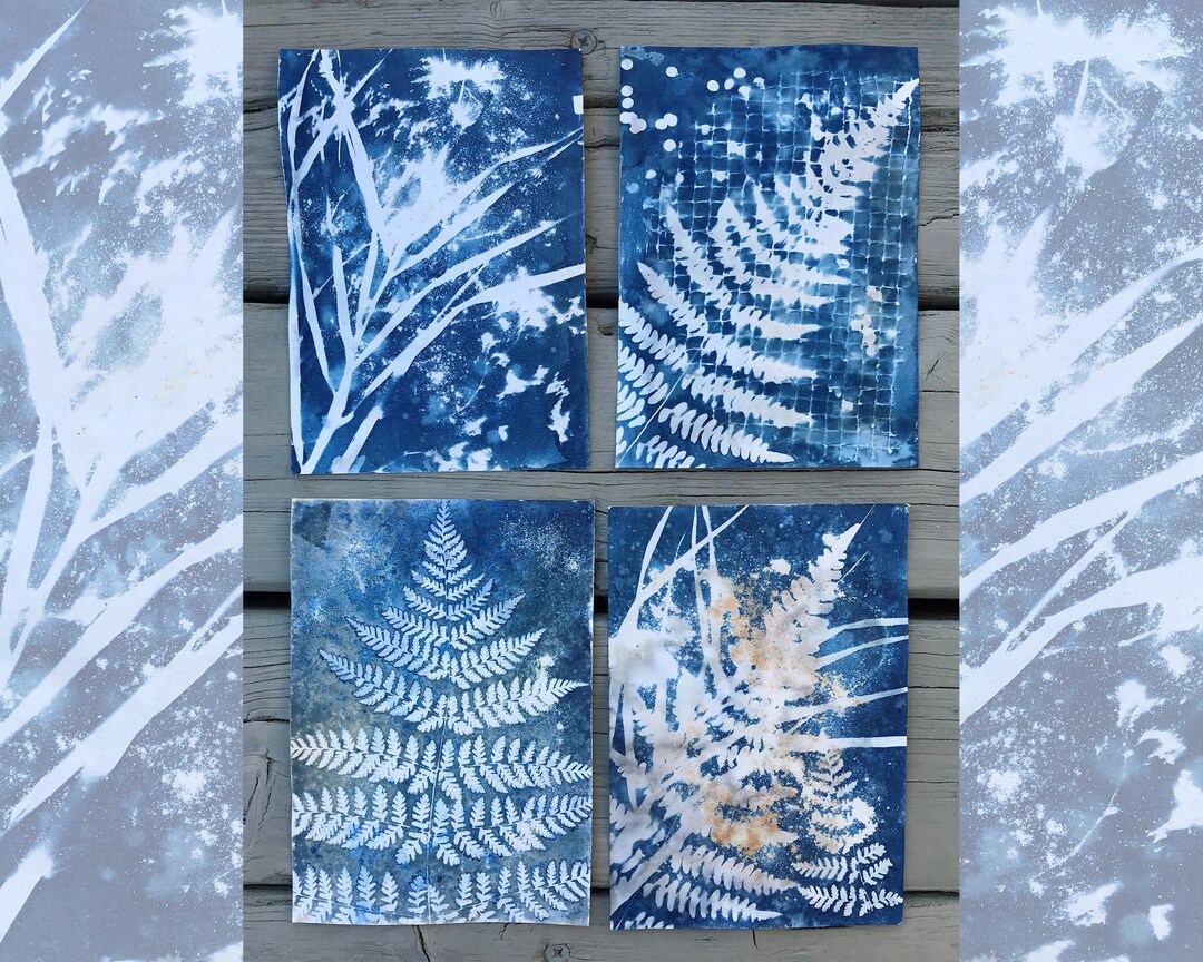 Set of 4 Original Cyanotype Prints, Botanical Cyanotype Art, Nature ...