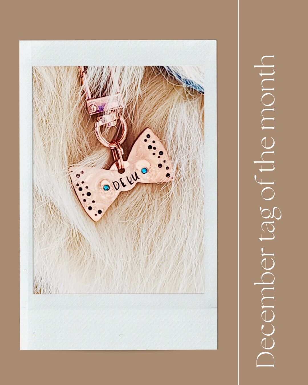 Pet ID Tag Crystals Dog Tags Gems Bow Shaped Dog Tag for - Etsy