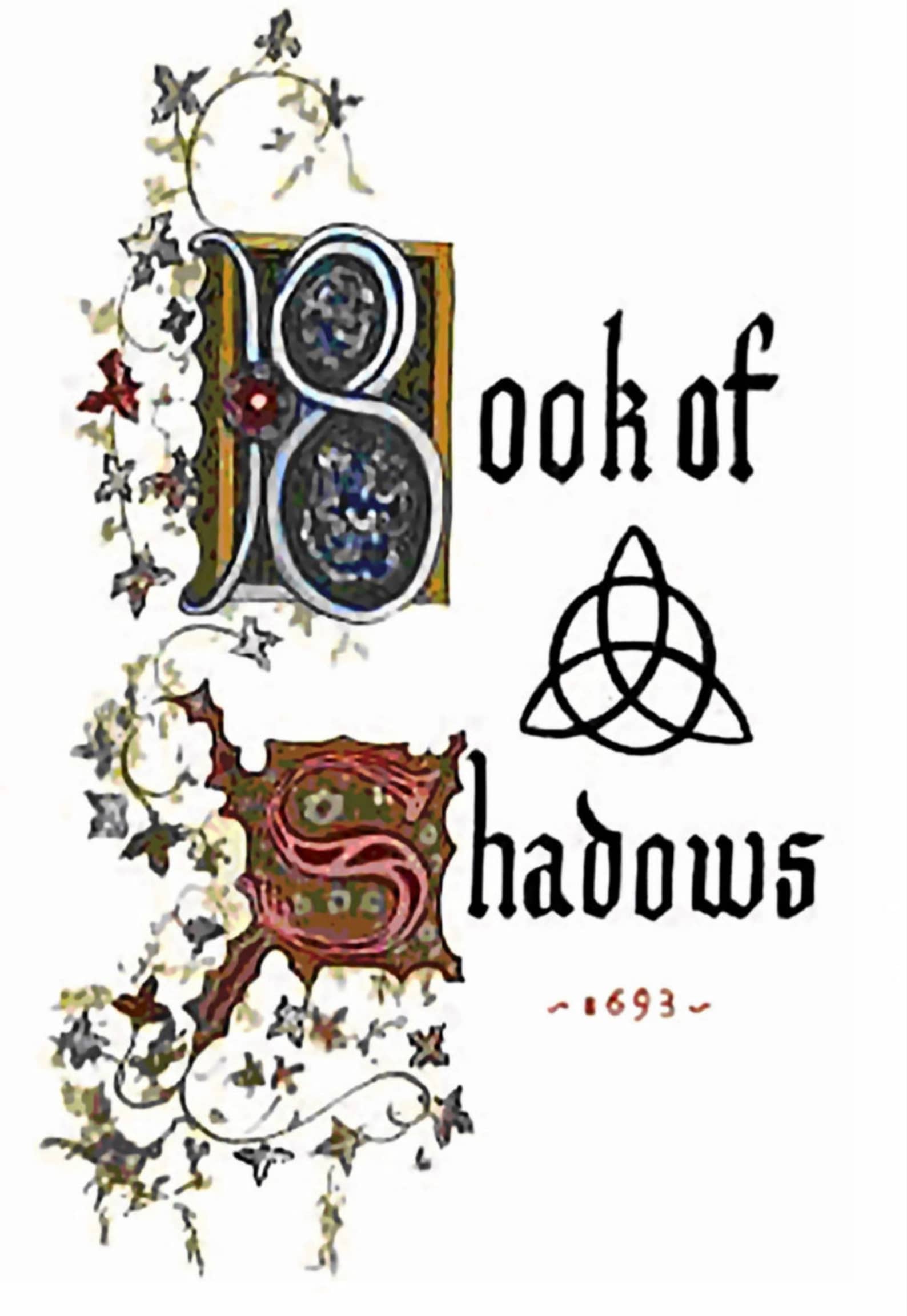Charmed Book of Shadows 500 Pages - Etsy