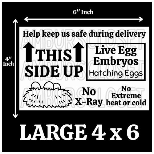 50 PRINTED Live Egg Embryos Labels 4x6 LARGE Stickers Small Business ...