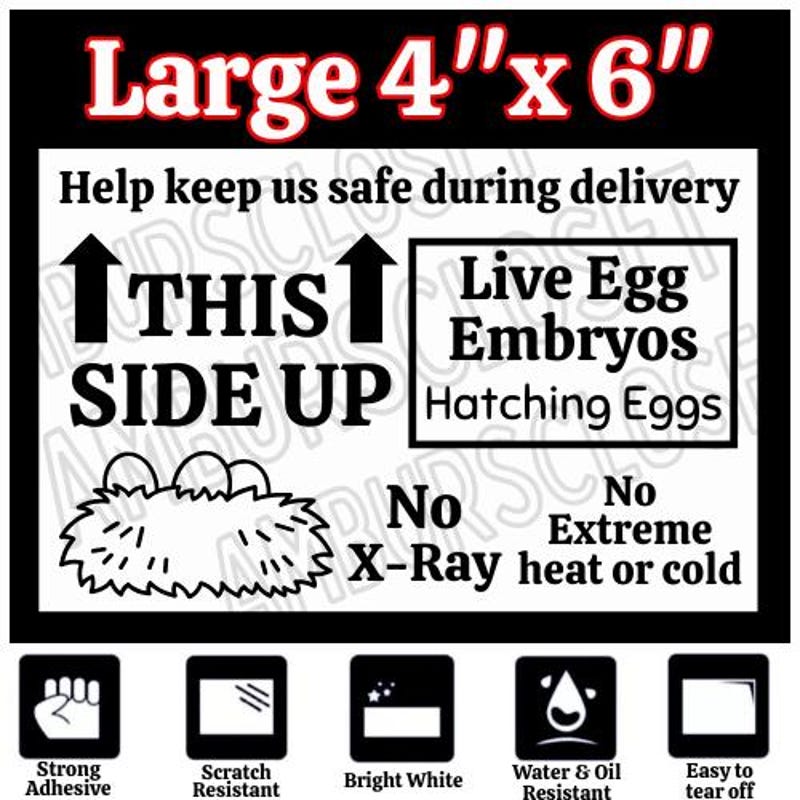 Egg Carton Labels - Etsy