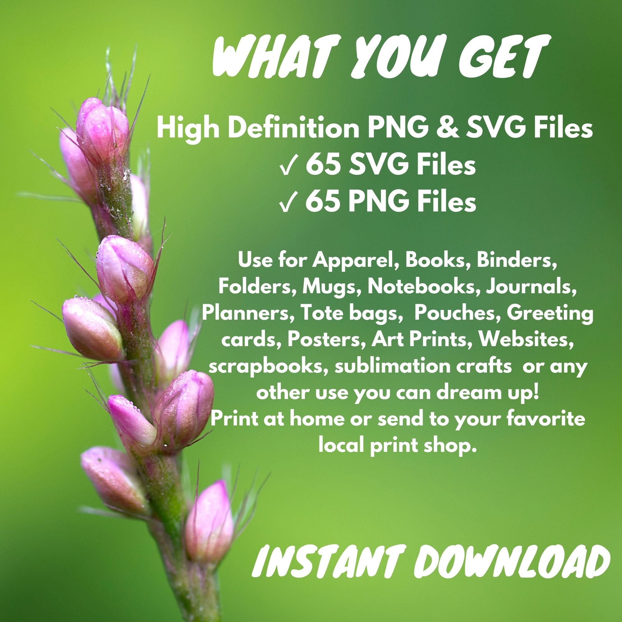 Pink & Green Gradient Uppercase Alphabet SVG/PNG Clipart Letters ...